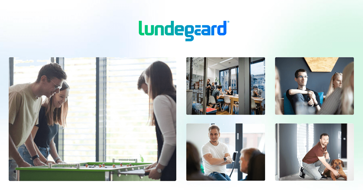 Career | Lundegaard